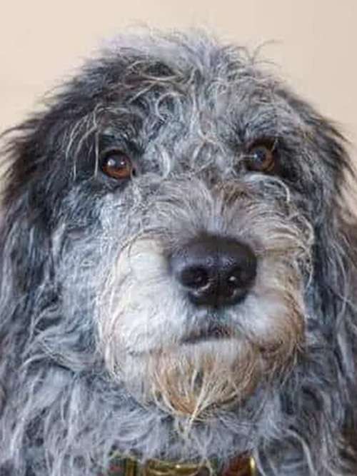 Our Professional Team - Spirit Mountain Recovery